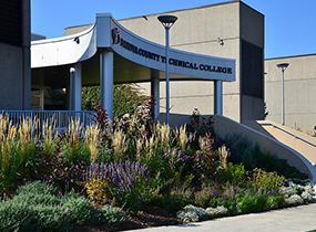 Powered by D2L Brightspace